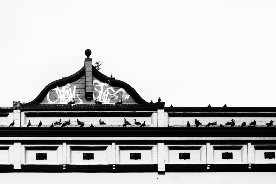 Somewhere to Roost | trisharooni | Blipfoto