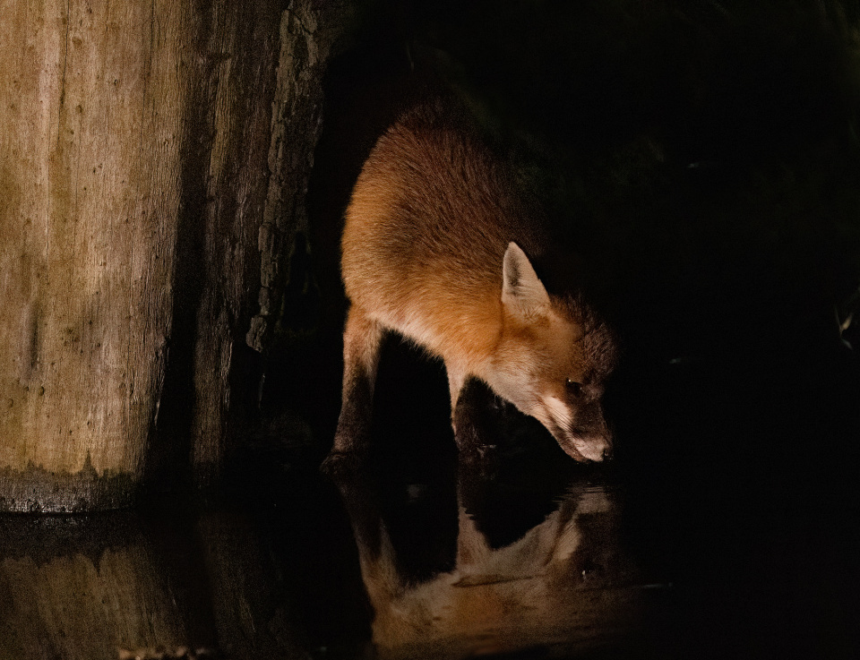 Reflections of You | Hillyblips | Blipfoto