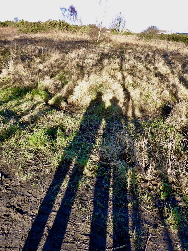 Me and my shadow. | ValC | Blipfoto