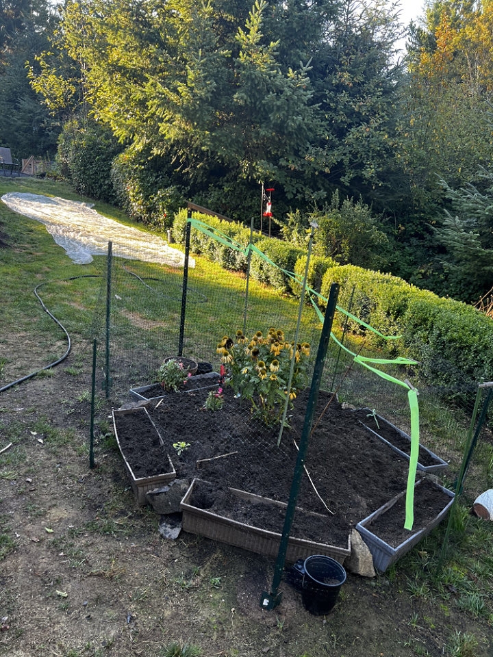 Anti Deer arrangements | EvelyneNC | Blipfoto