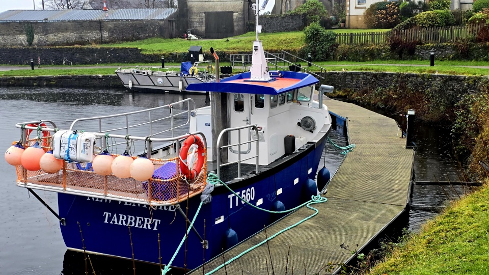 New Venture | snapper | Blipfoto