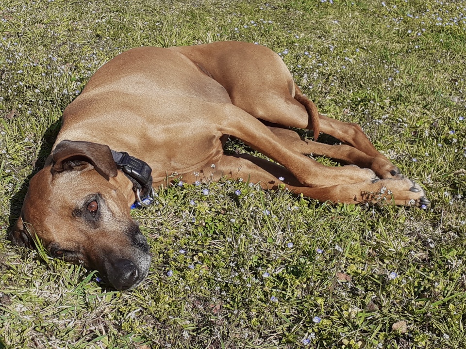 Comfortable | Mima | Blipfoto