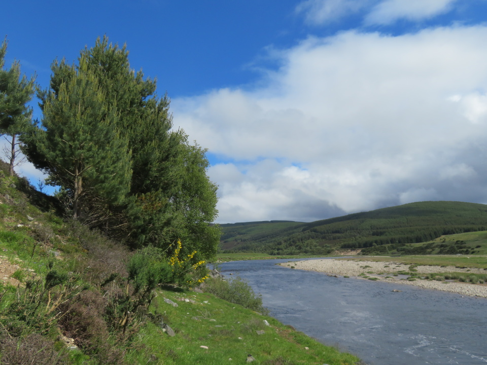 Still plenty of cold water running... | Exlivet | Blipfoto