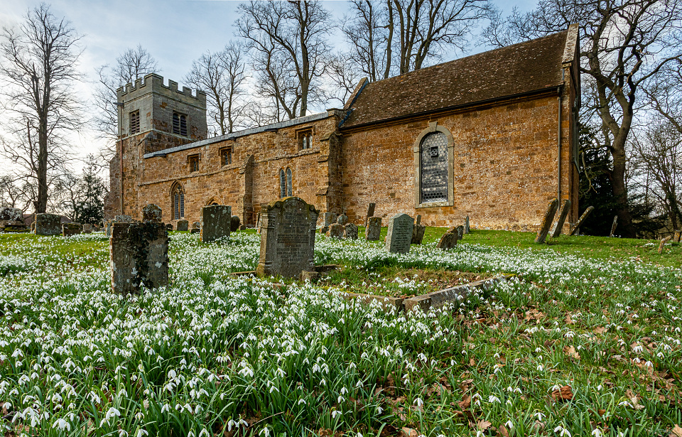 Chadshunt Snowdrops (FF17_2023) | steveng | Blipfoto