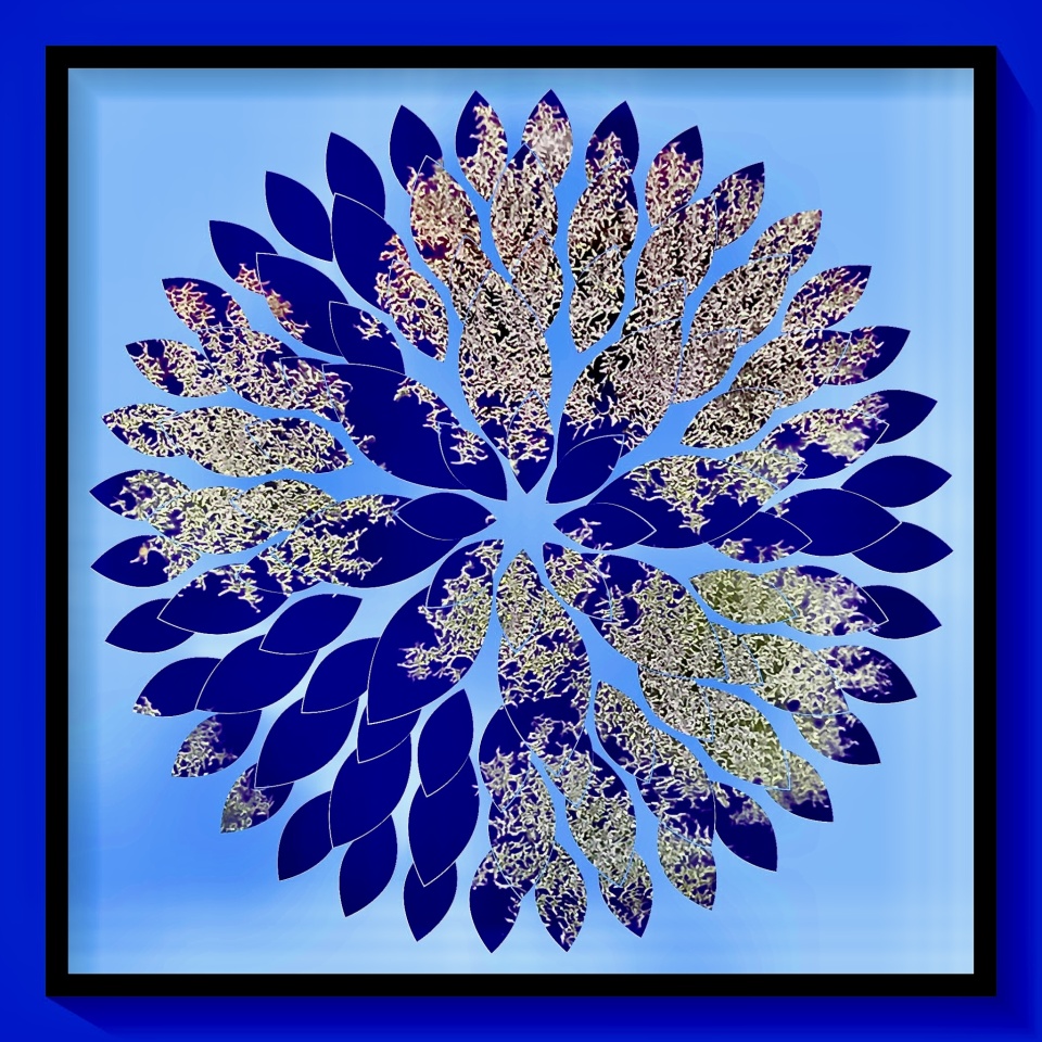 ABSTRACT THURSDAY - VIEWPOINT | Honeycombebeach | Blipfoto