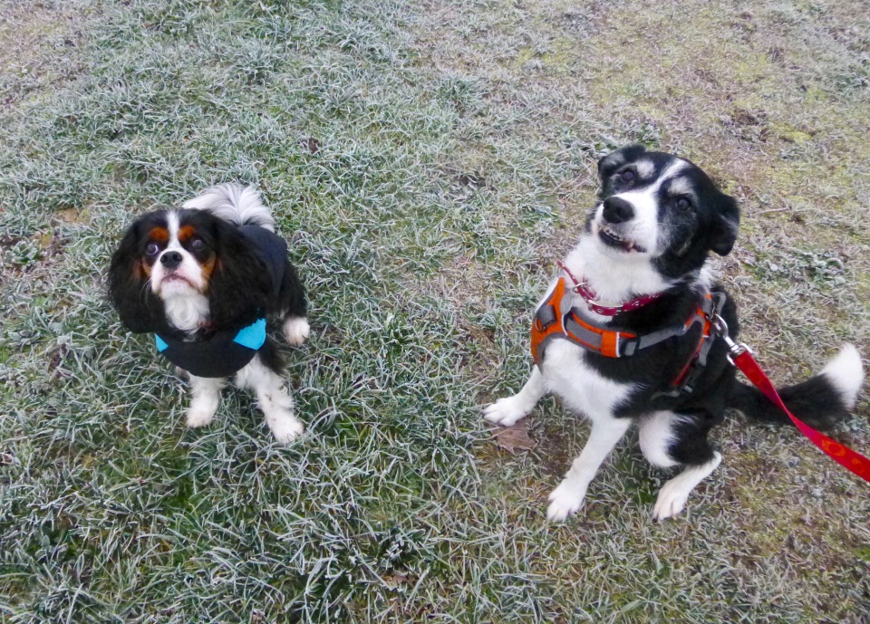 Special friends | Emsie | Blipfoto