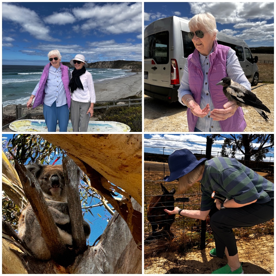 DAY NINETEEN (Adelaide) | LadyMarchmont | Blipfoto