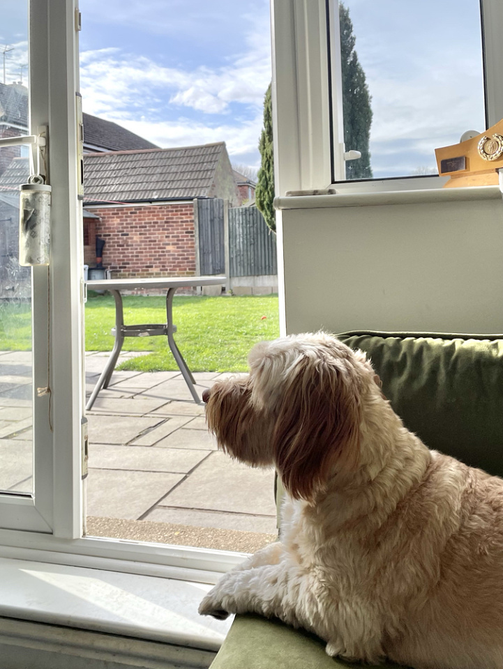 Look out post | Mindseye | Blipfoto