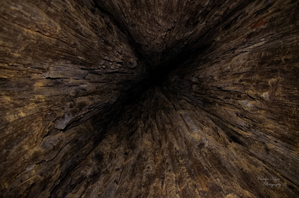 Inside | Carolina | Blipfoto