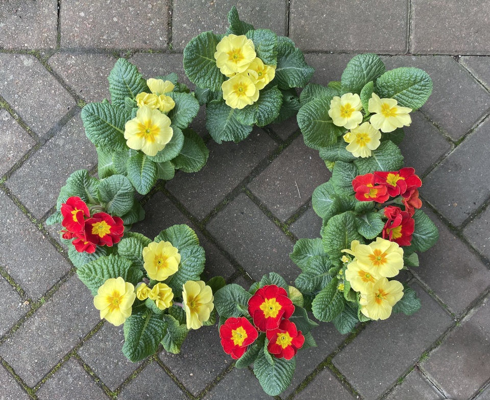 Ready for Easter? | jennym999 | Blipfoto