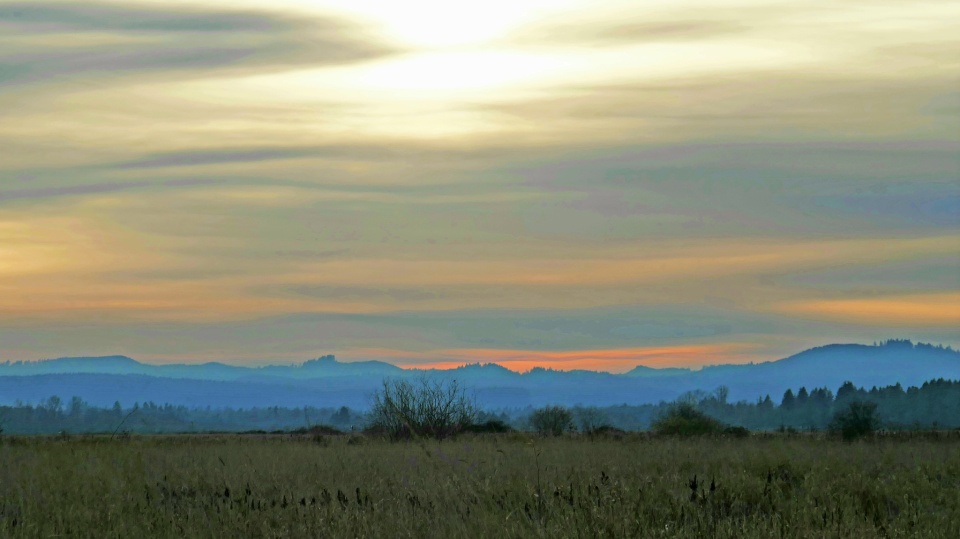 Fern Ridge Reservoir Wetlands Sunset | RonaldBerry | Blipfoto