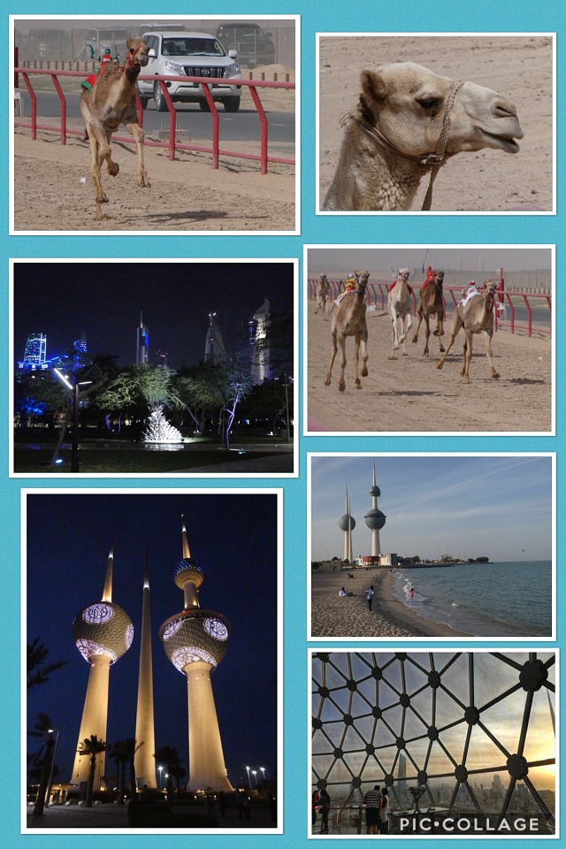 Camel races and Kuwait towers | turnx3 | Blipfoto