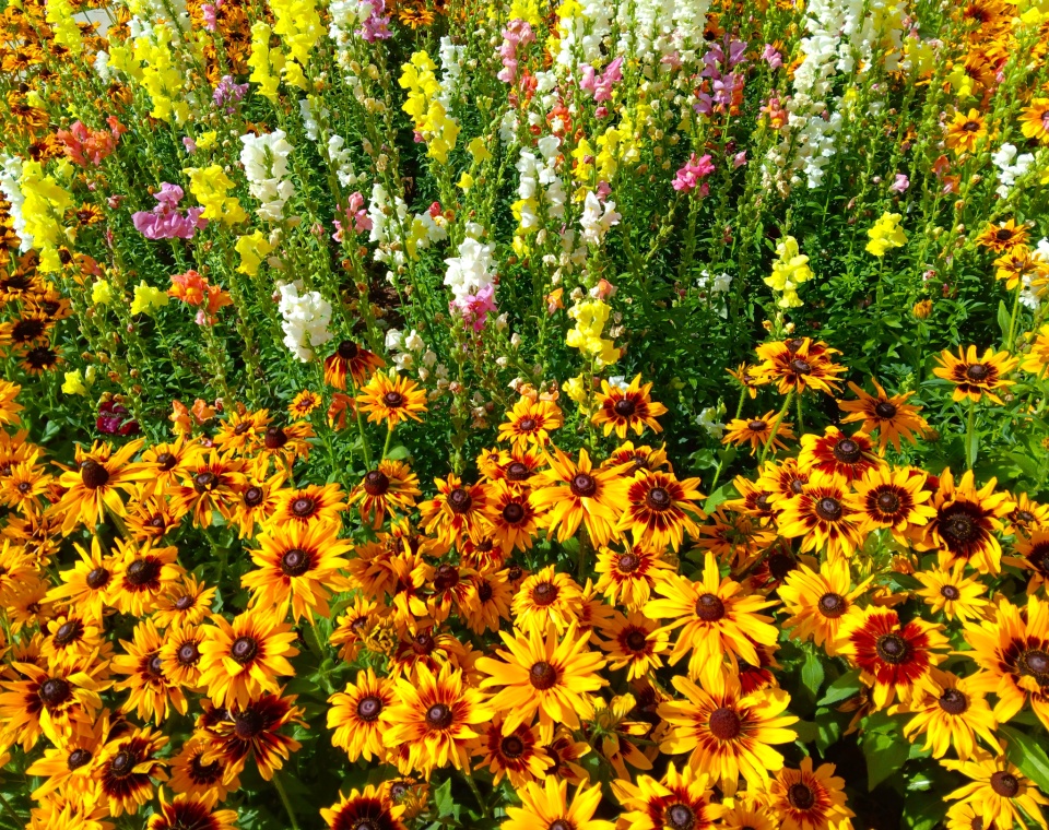 Campus | TiciaS | Blipfoto