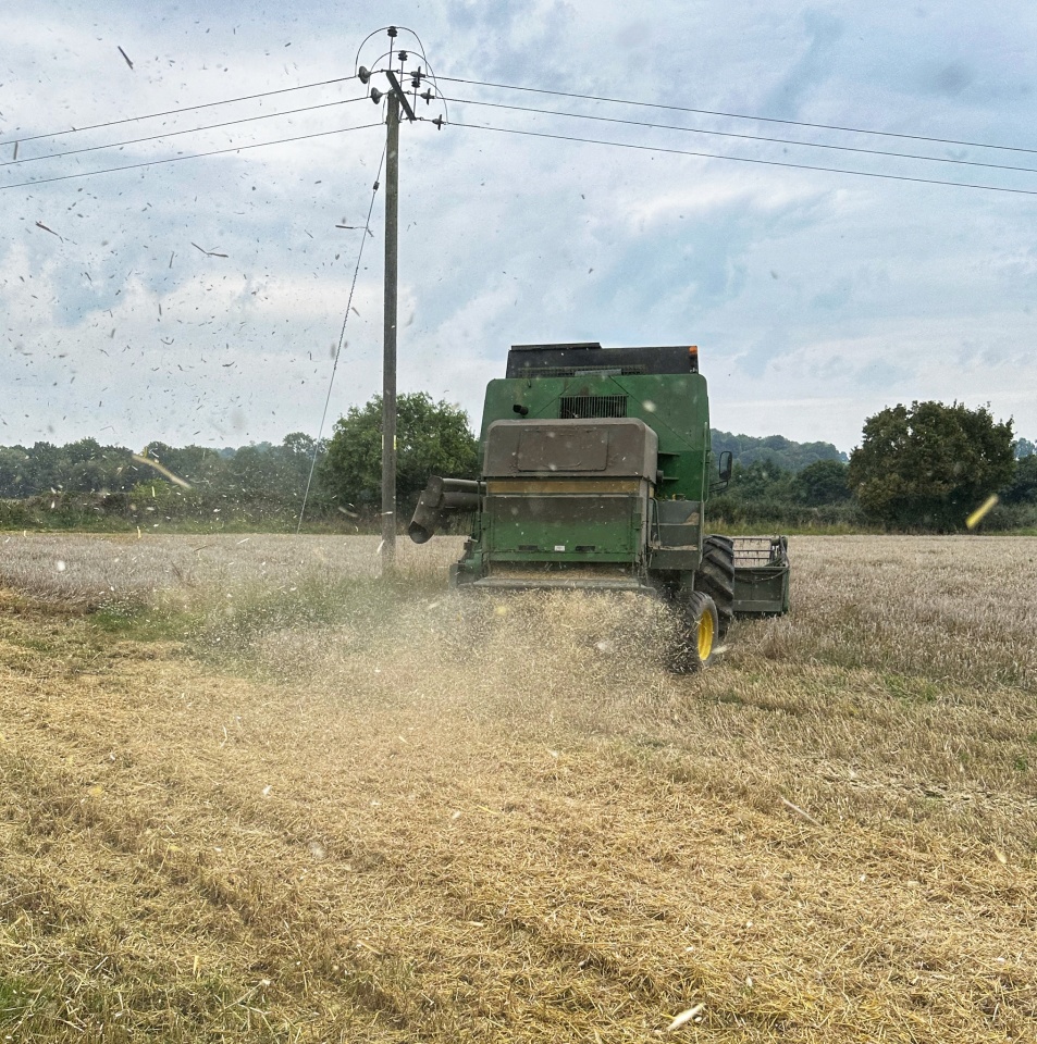 Dust | Technophobe | Blipfoto