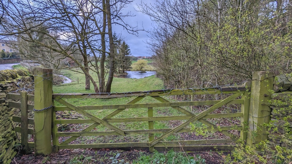 Barbed wire... | 60plus11 | Blipfoto