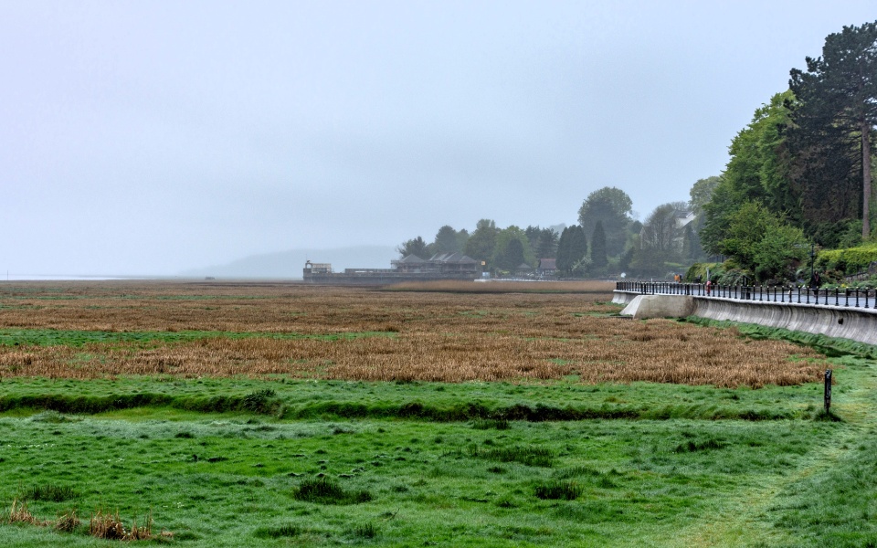 DREICH DAY | flavia13 | Blipfoto