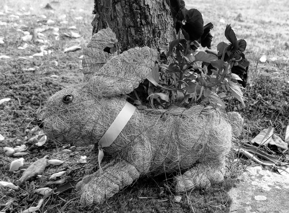 Straw rabbit seeks shelter from the storm | Brianblip | Blipfoto