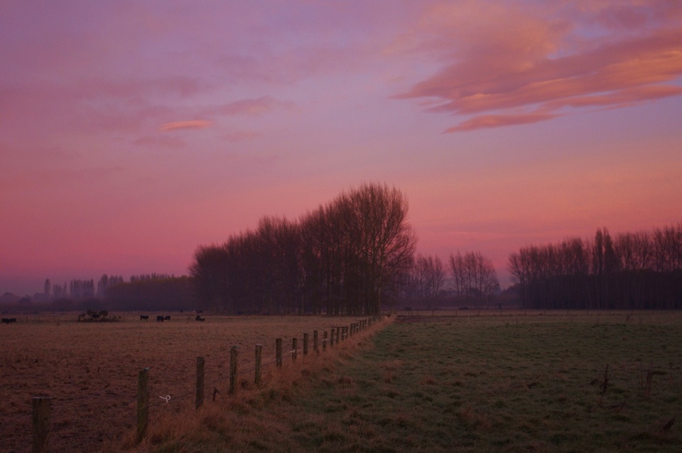 Soft pink dawn sky Christchurch NZ | mpp26 | Blipfoto