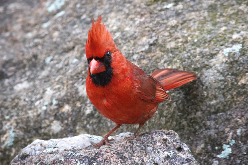 I'm Ready for my Closeup | justbe | Blipfoto