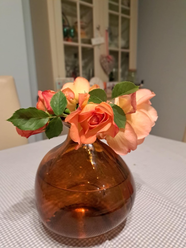 Fresh from the garden | Emsie | Blipfoto