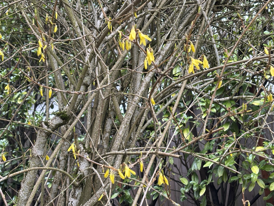 Finally! | comments | Blipfoto