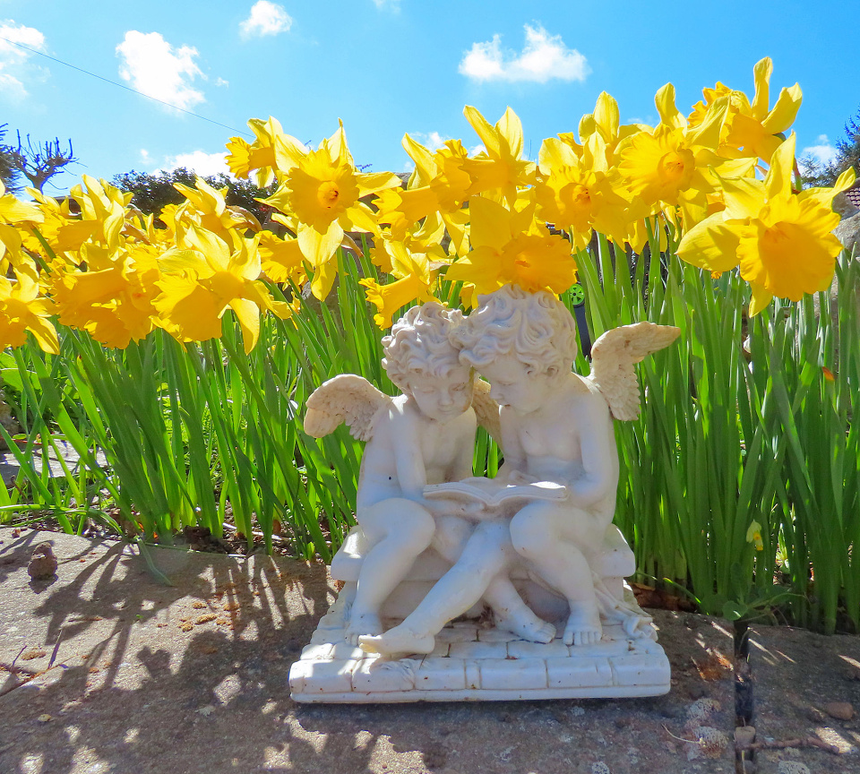 Cherubs sheltering from the Sun! | Rosemarie55 | Blipfoto