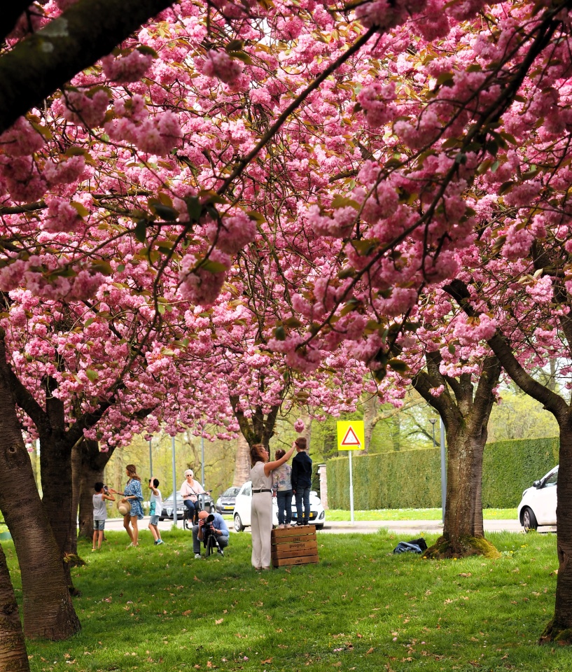 Photo opportunity..... | pkln | Blipfoto