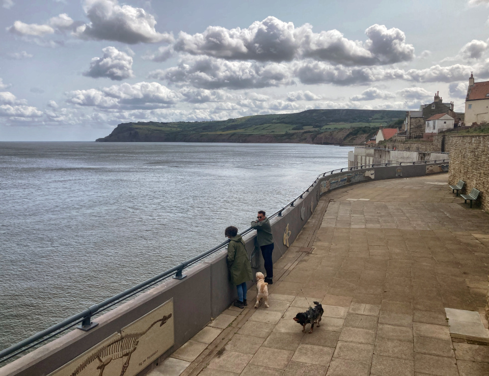 Rare | mambo | Blipfoto