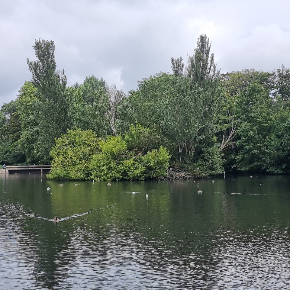 Park | Redberry | Blipfoto