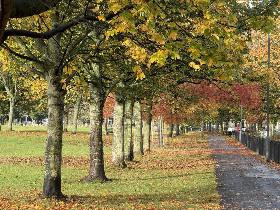 Perfect autumn weather, visitor, and muffins! | LadyMarchmont | Blipfoto