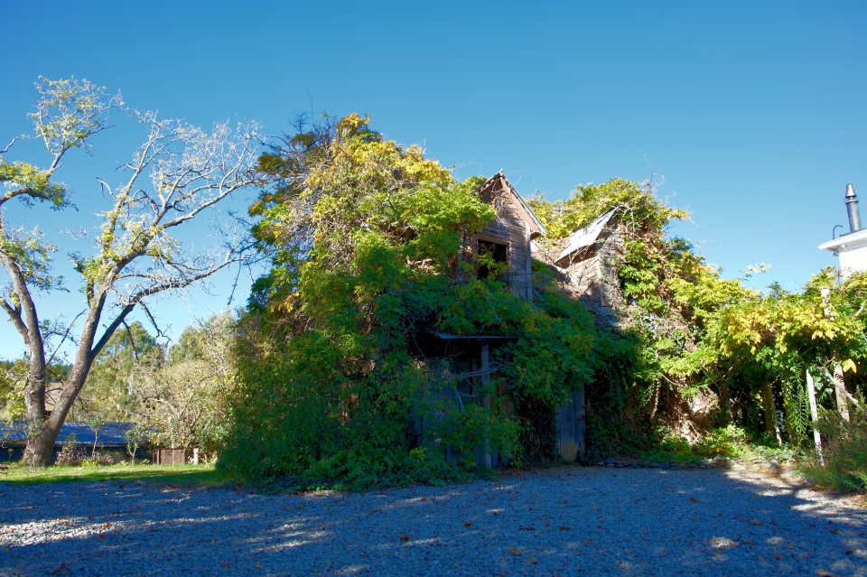 "Derelict Tuesday" LOL | AndrewNZ | Blipfoto