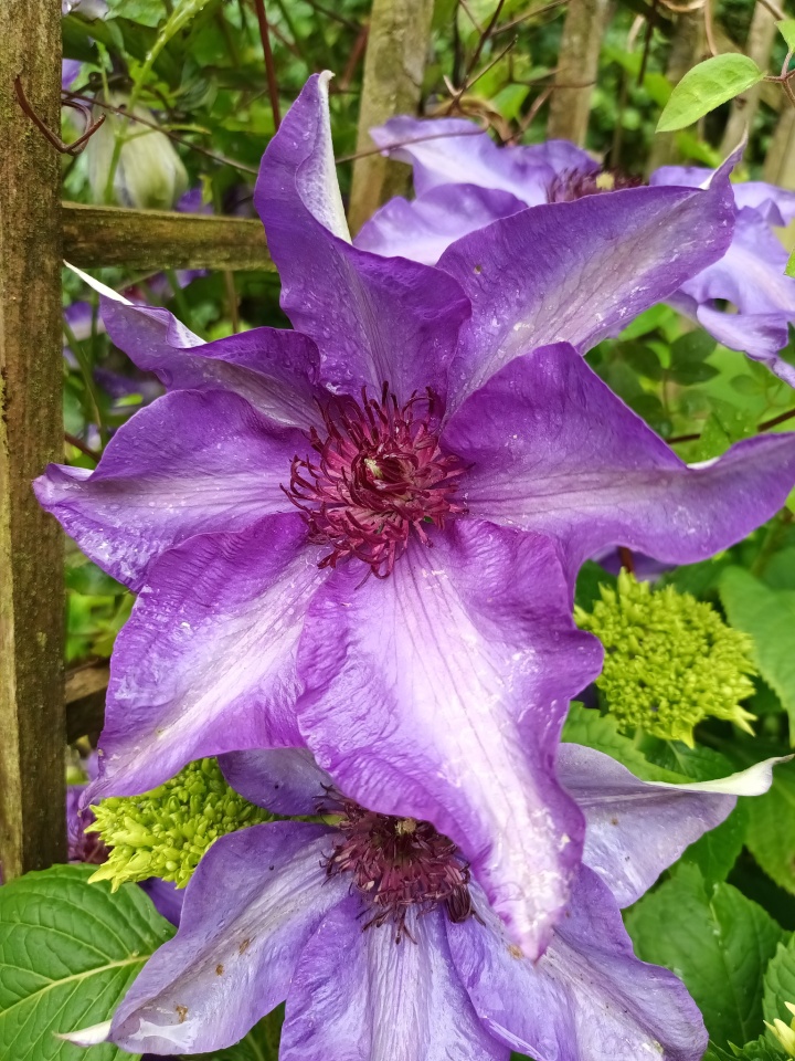 Colour…..! | Annieone | Blipfoto