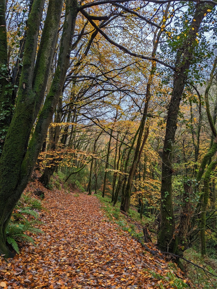 Life story | Melisseus | Blipfoto