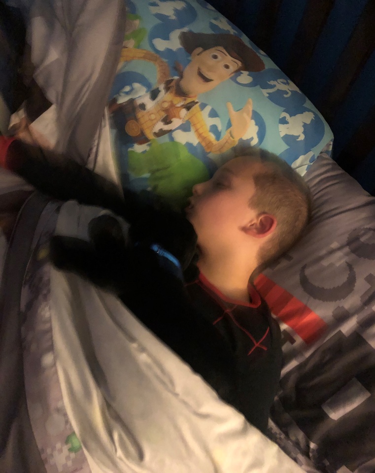 Blurry Bedtime | TurtleBug | Blipfoto