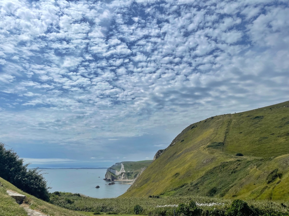 this afternoon | sk | Blipfoto