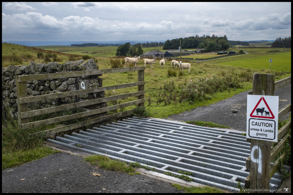 North Heugh Farm ... | RobinDown | Blipfoto