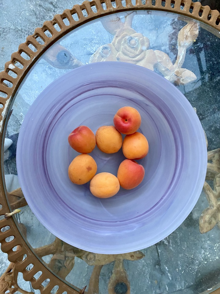 First Apricots | carolinav | Blipfoto