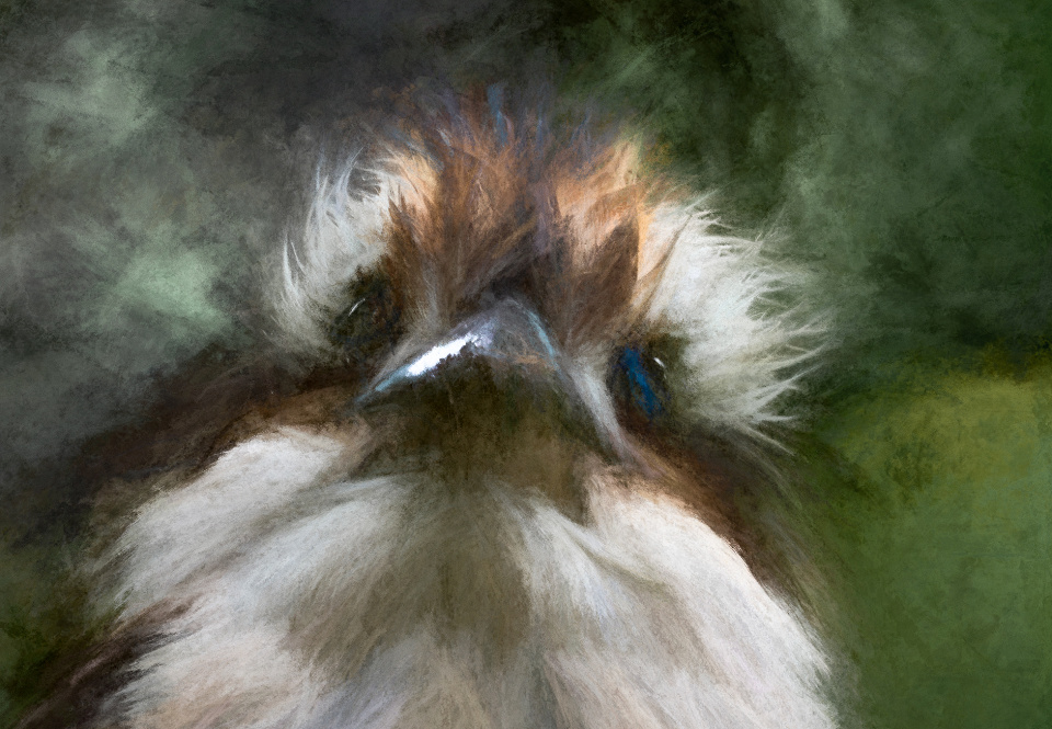 Bedraggled | trisharooni | Blipfoto