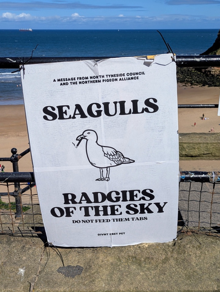 A smoking seagull... | 60plus10 | Blipfoto