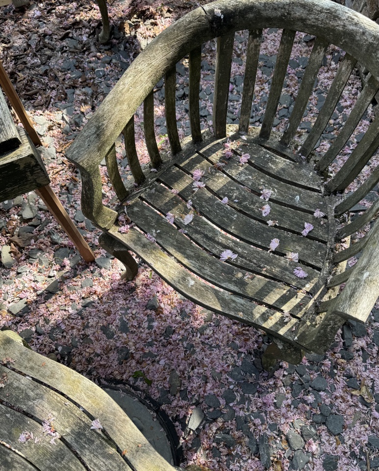 Rustic | Technophobe | Blipfoto