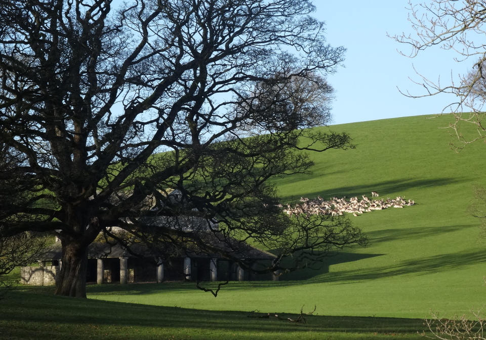 Dallam Tower Estate | sheilwill | Blipfoto