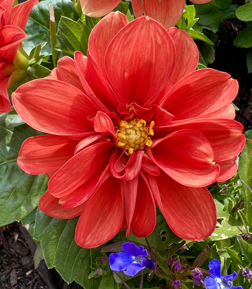 Dawdling day | Romay | Blipfoto