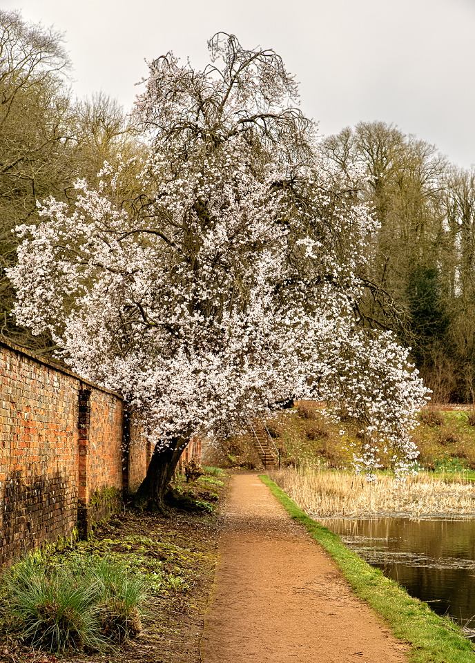 Spring is ... | steveng | Blipfoto