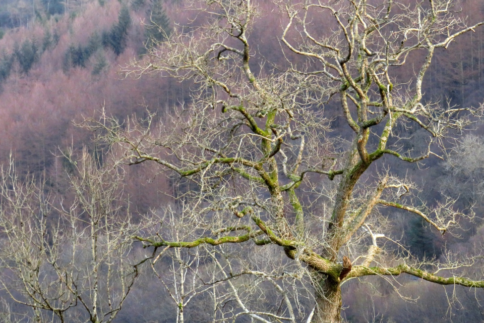 Two Wheels Good | DonMac21 | Blipfoto