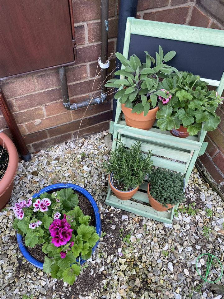 A day for a Lidl gardening | Viking | Blipfoto