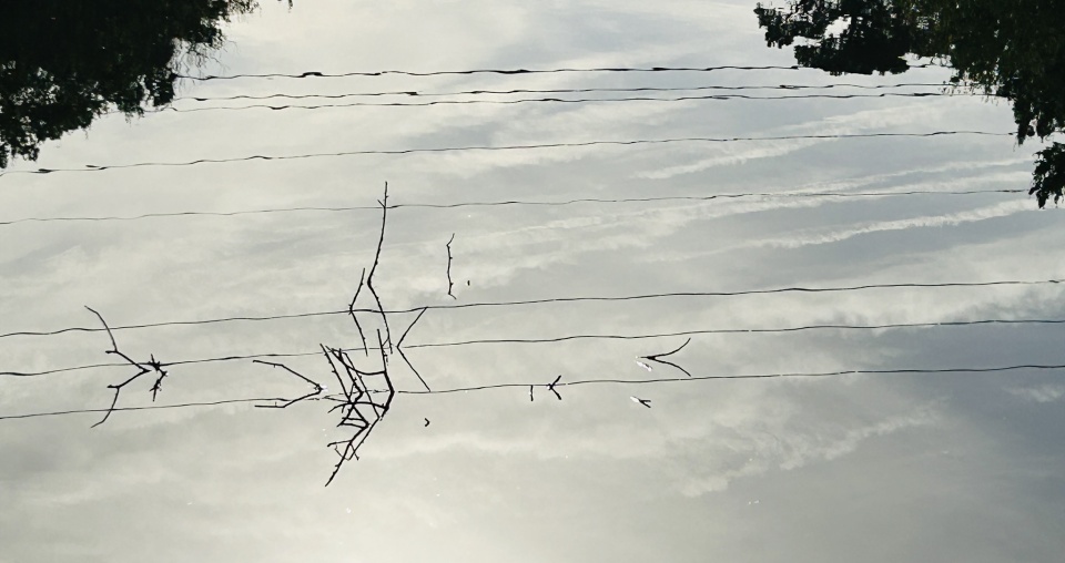 Reflections | Doingok | Blipfoto