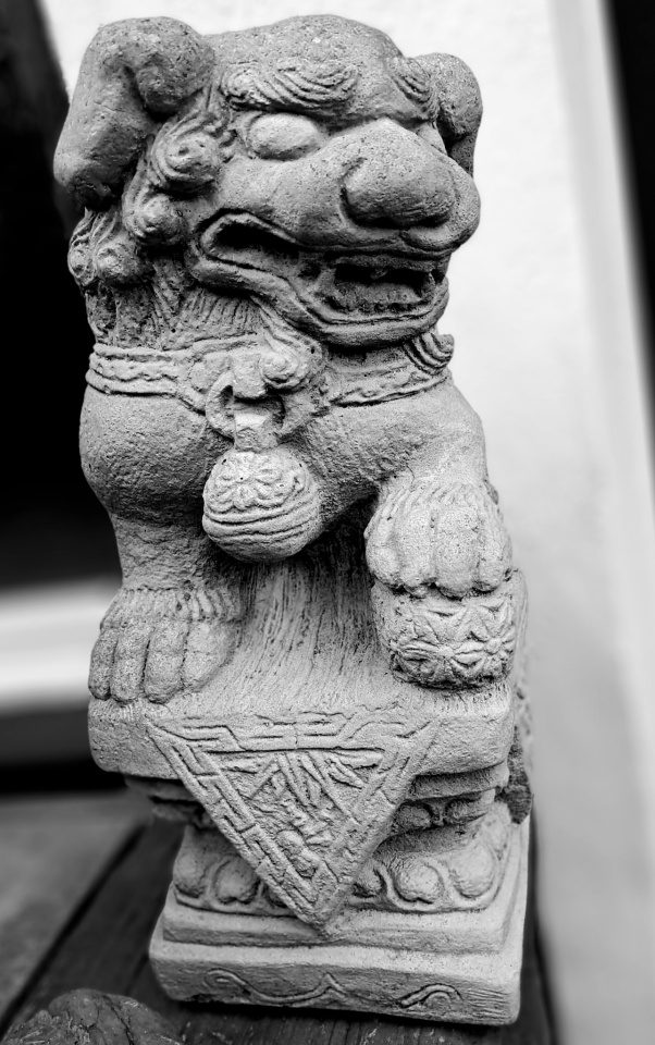 FOO on Mono Monday | Cumbrialass | Blipfoto