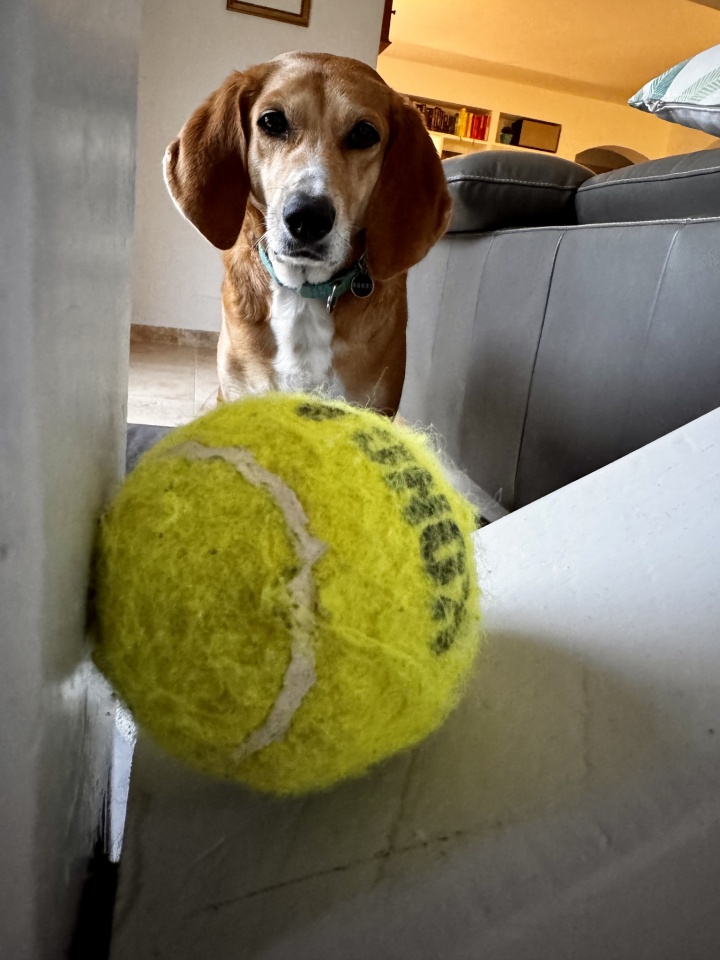 Concentration. | DawnMH | Blipfoto