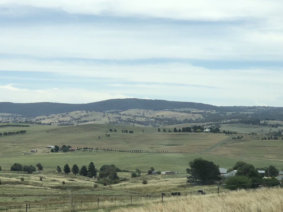 Busy day | 59 | Blipfoto