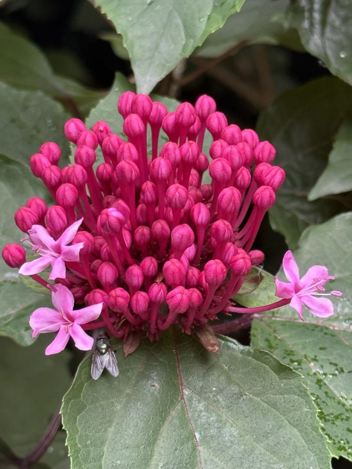 Another EB | chrispybox | Blipfoto